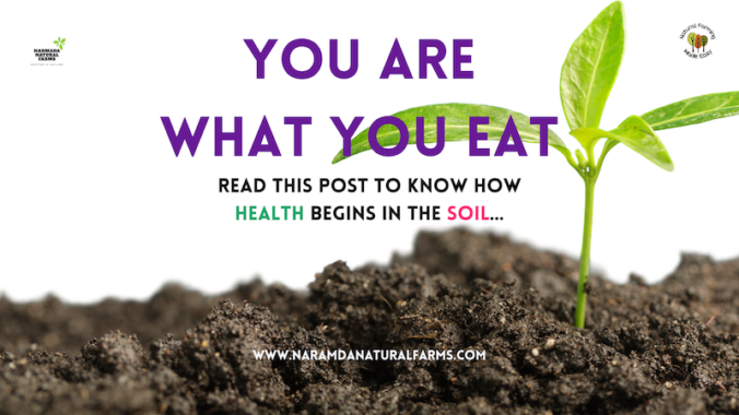 The What, Why, and How of Soil Health at Your Farm
